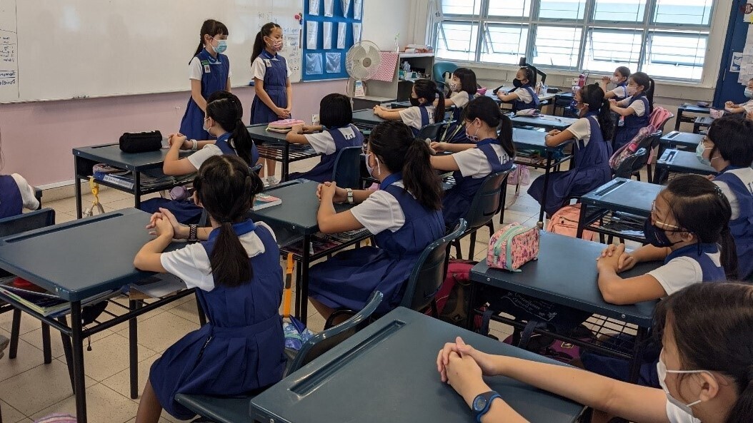 School–Wide Programmes for All